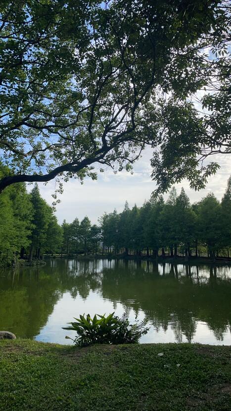 『VOLVO電車聚』 2023.05.06新竹松湖園車聚::DDCAR 電動車