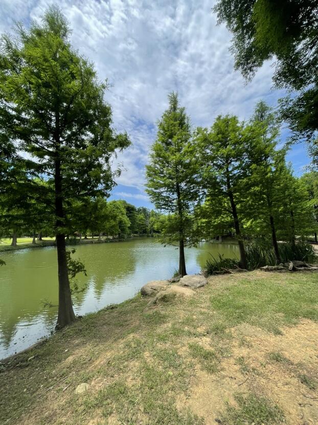 『VOLVO電車聚』 2023.05.06新竹松湖園車聚::DDCAR 電動車