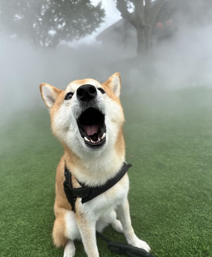 做大家的靠山，一起友善前行｜AmpGO 充電地圖 - Charge Taiwan::DDCAR 電動車